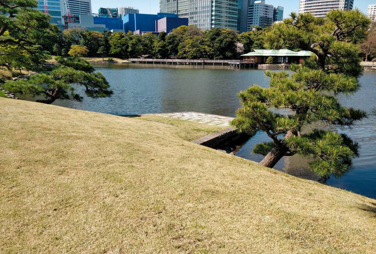 Hamarikyu Gardens : A Haven of Peace in the Middle of Tokyo | Travel Guide