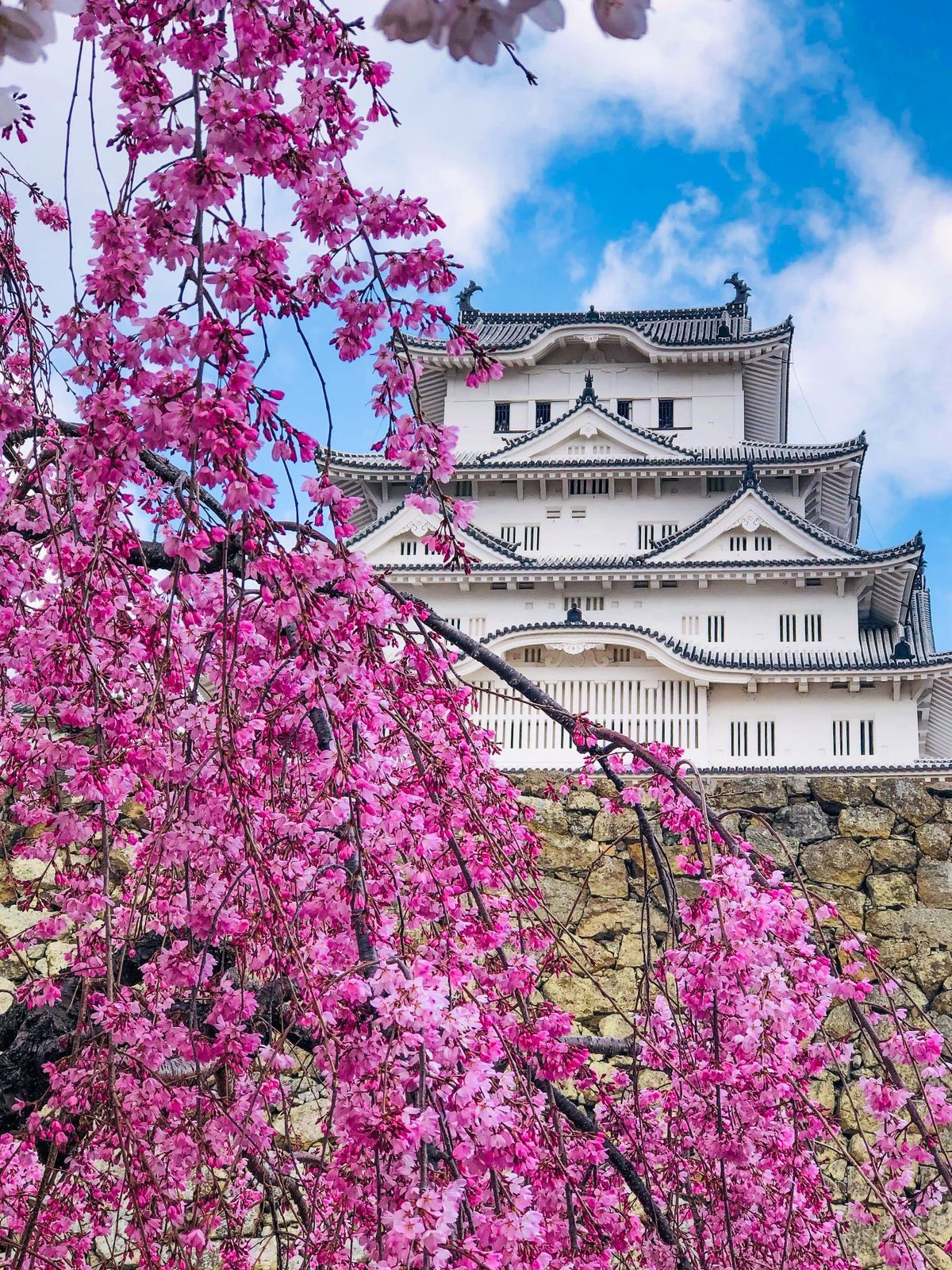 The magnificent white Himeji Castle | Travel Guide