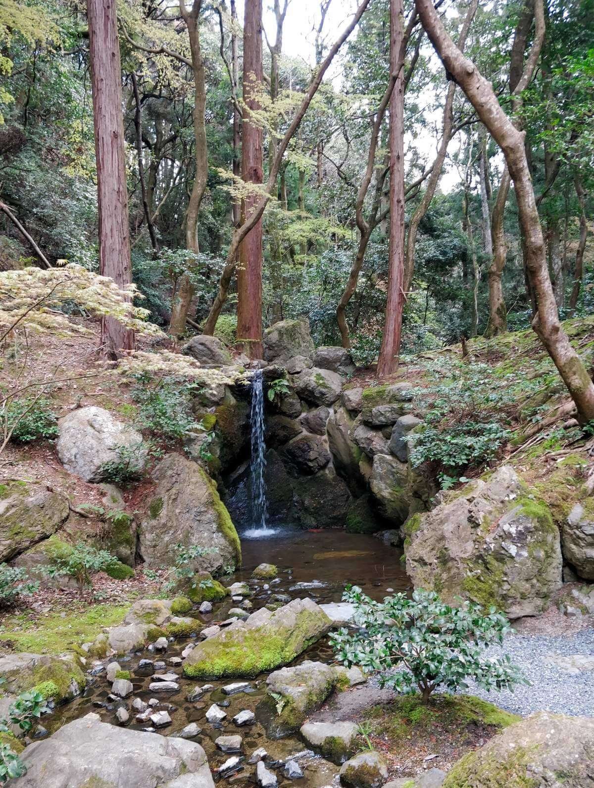 Daigo-ji : Cherry Blossom Spot in Kyoto | Travel Guide