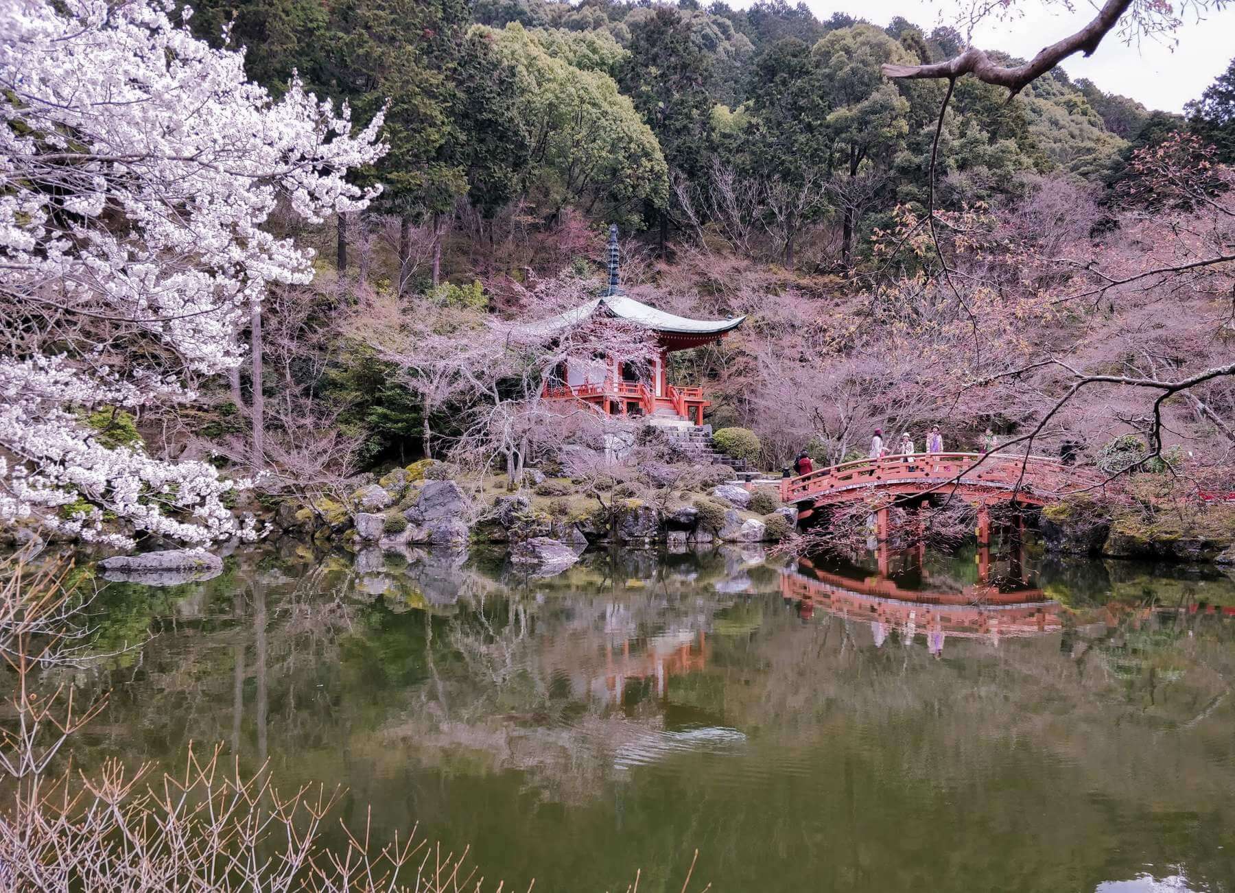 Daigo-ji : Cherry Blossom Spot in Kyoto | Travel Guide