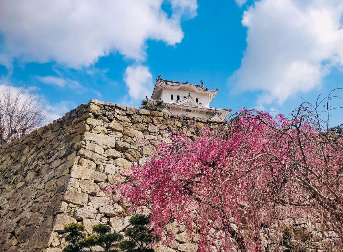 The magnificent white Himeji Castle | Travel Guide