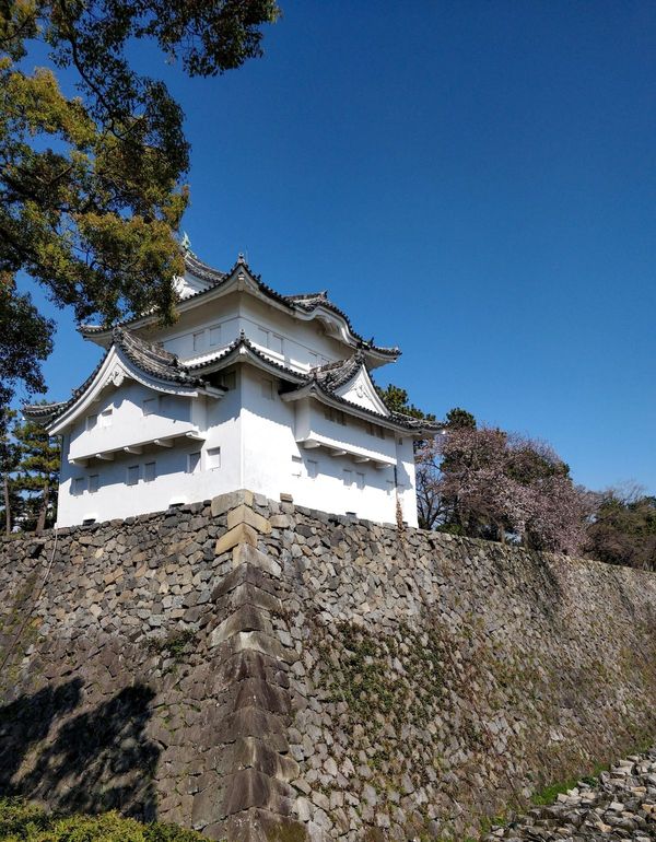 The second life of Nagoya Castle | Travel Guide