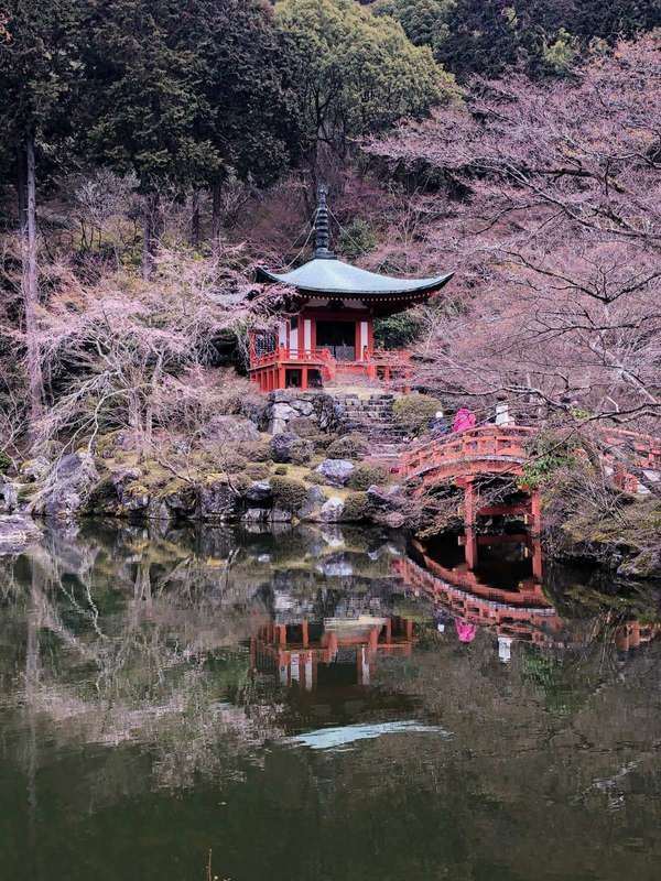 Daigo-ji : Cherry Blossom Spot in Kyoto | Travel Guide