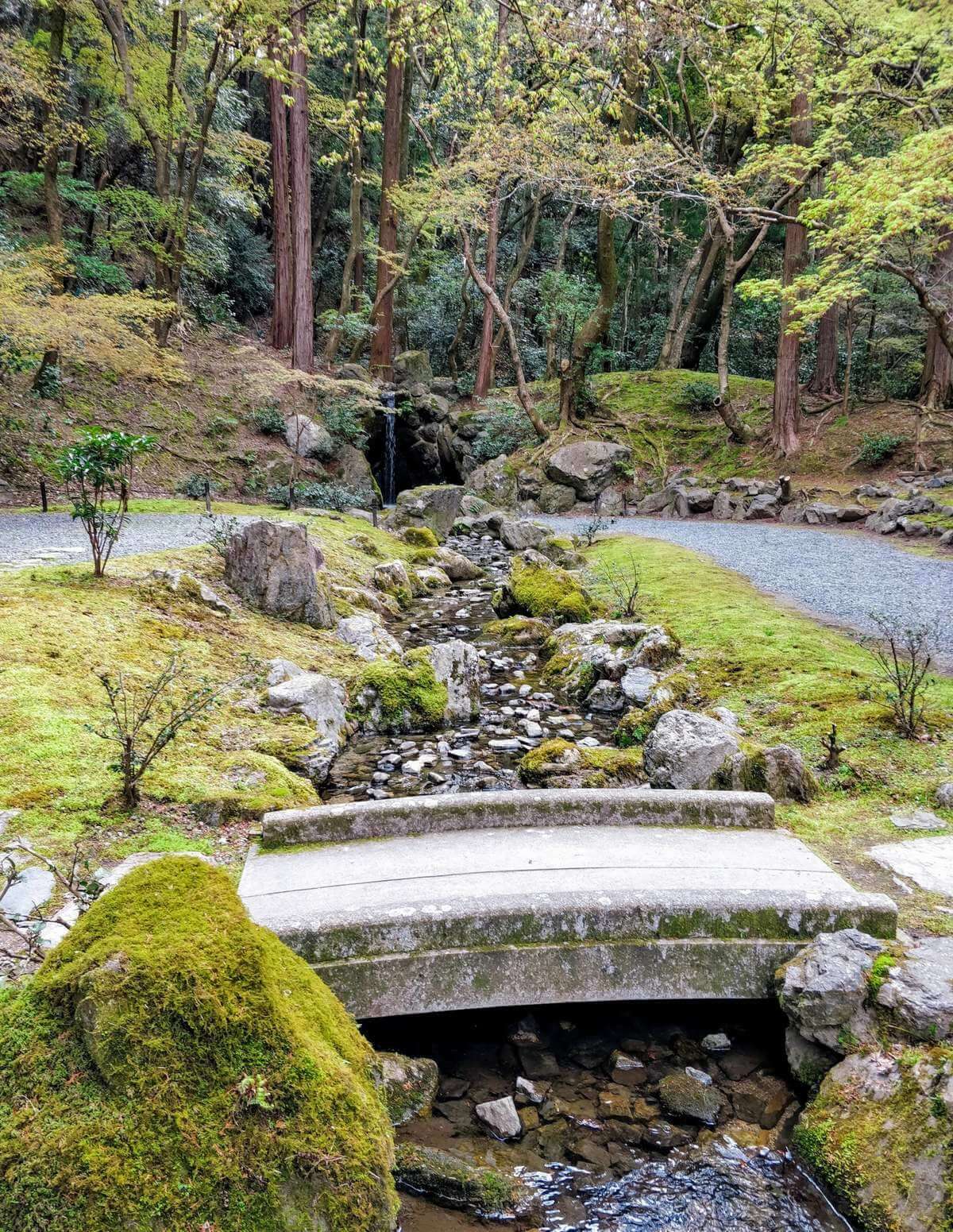 Daigo-ji : Cherry Blossom Spot in Kyoto | Travel Guide