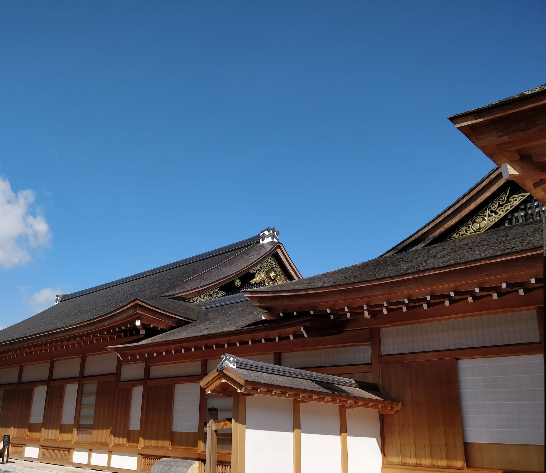 The second life of Nagoya Castle | Travel Guide