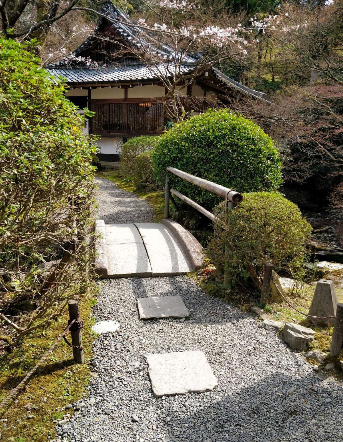 Daigo-ji : Cherry Blossom Spot in Kyoto | Travel Guide