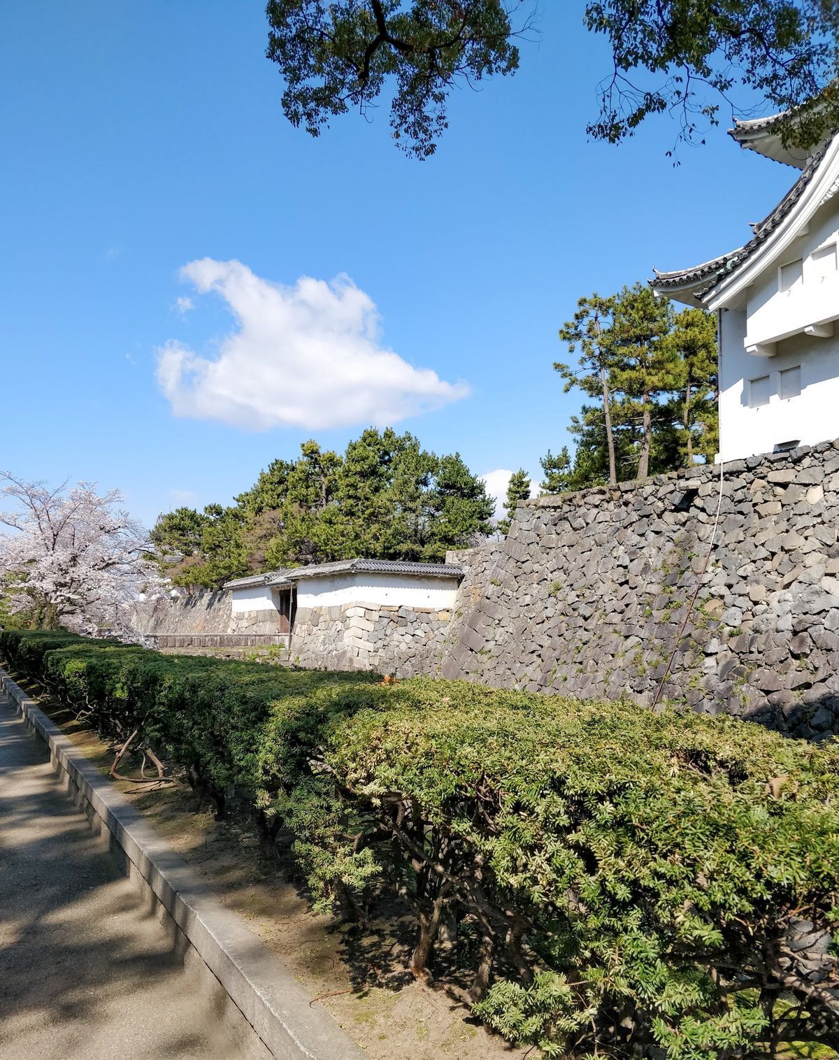 The second life of Nagoya Castle | Travel Guide