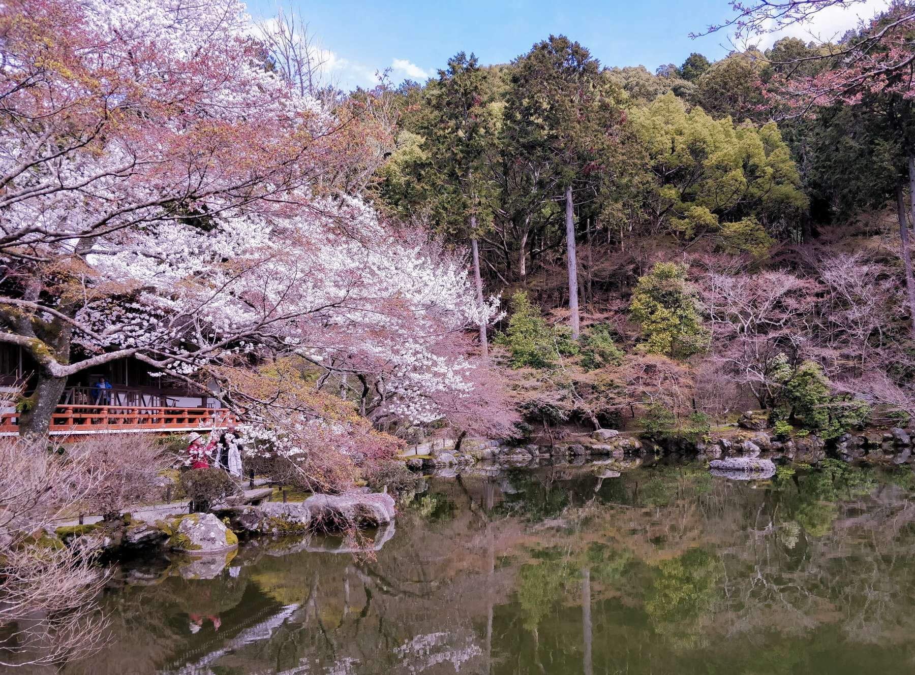 Daigo-ji : Cherry Blossom Spot in Kyoto | Travel Guide