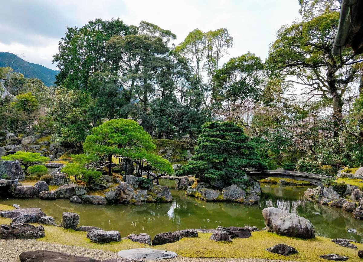Daigo-ji : Cherry Blossom Spot in Kyoto | Travel Guide