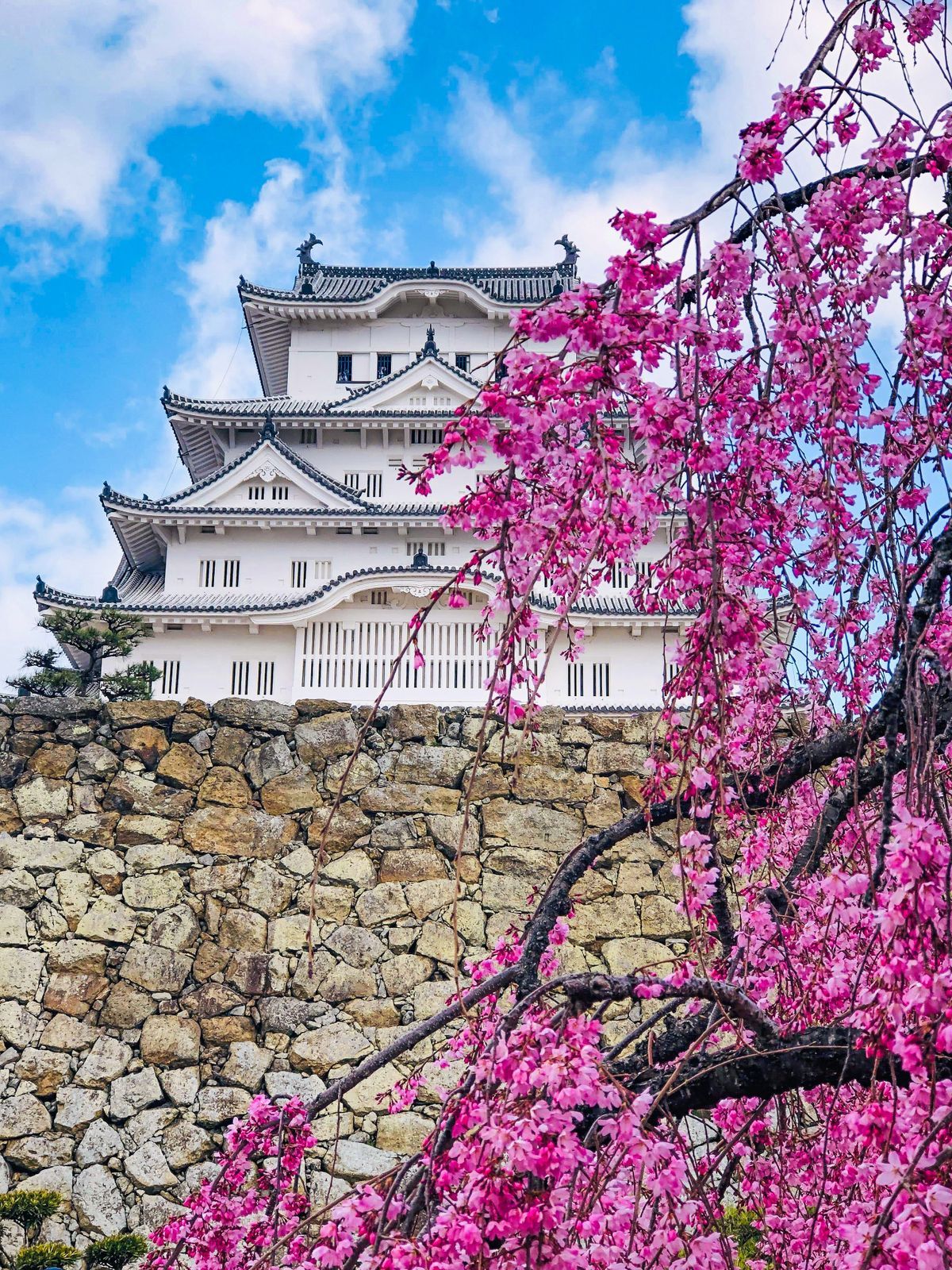 The magnificent white Himeji Castle | Travel Guide