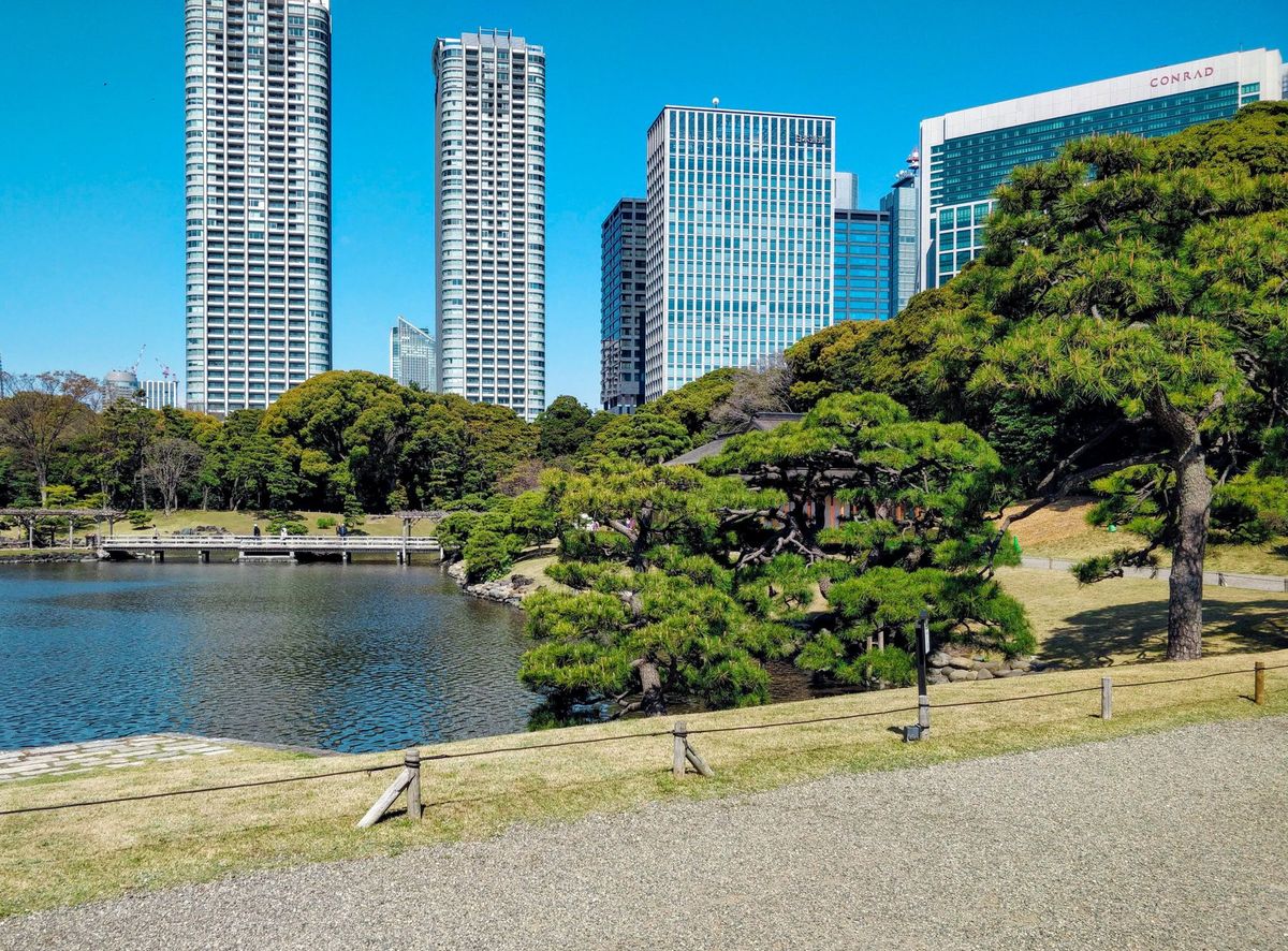 Hamarikyu Gardens : A Haven of Peace in the Middle of Tokyo | Travel Guide