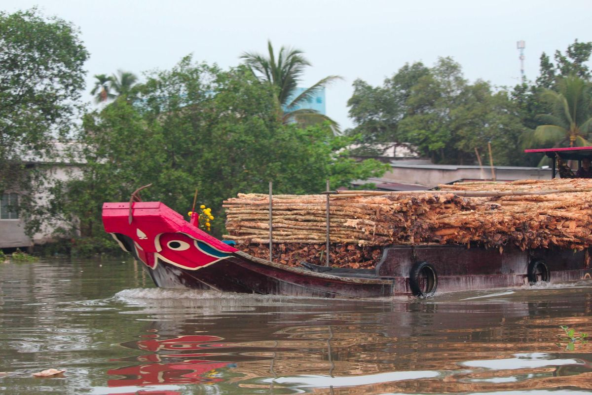 Cruise on the Mekong between Mỹ Tho and Ben Tre | Travel Guide