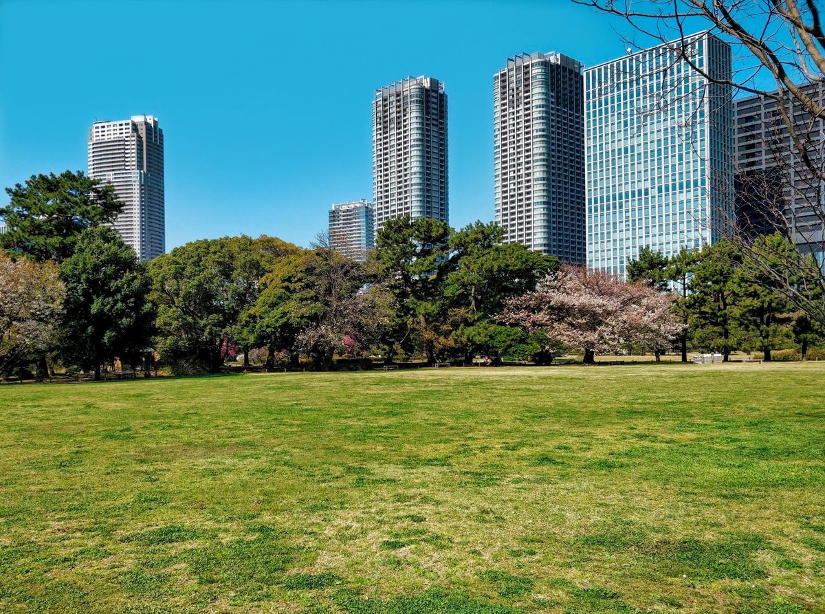 Hamarikyu Gardens : A Haven of Peace in the Middle of Tokyo | Travel Guide