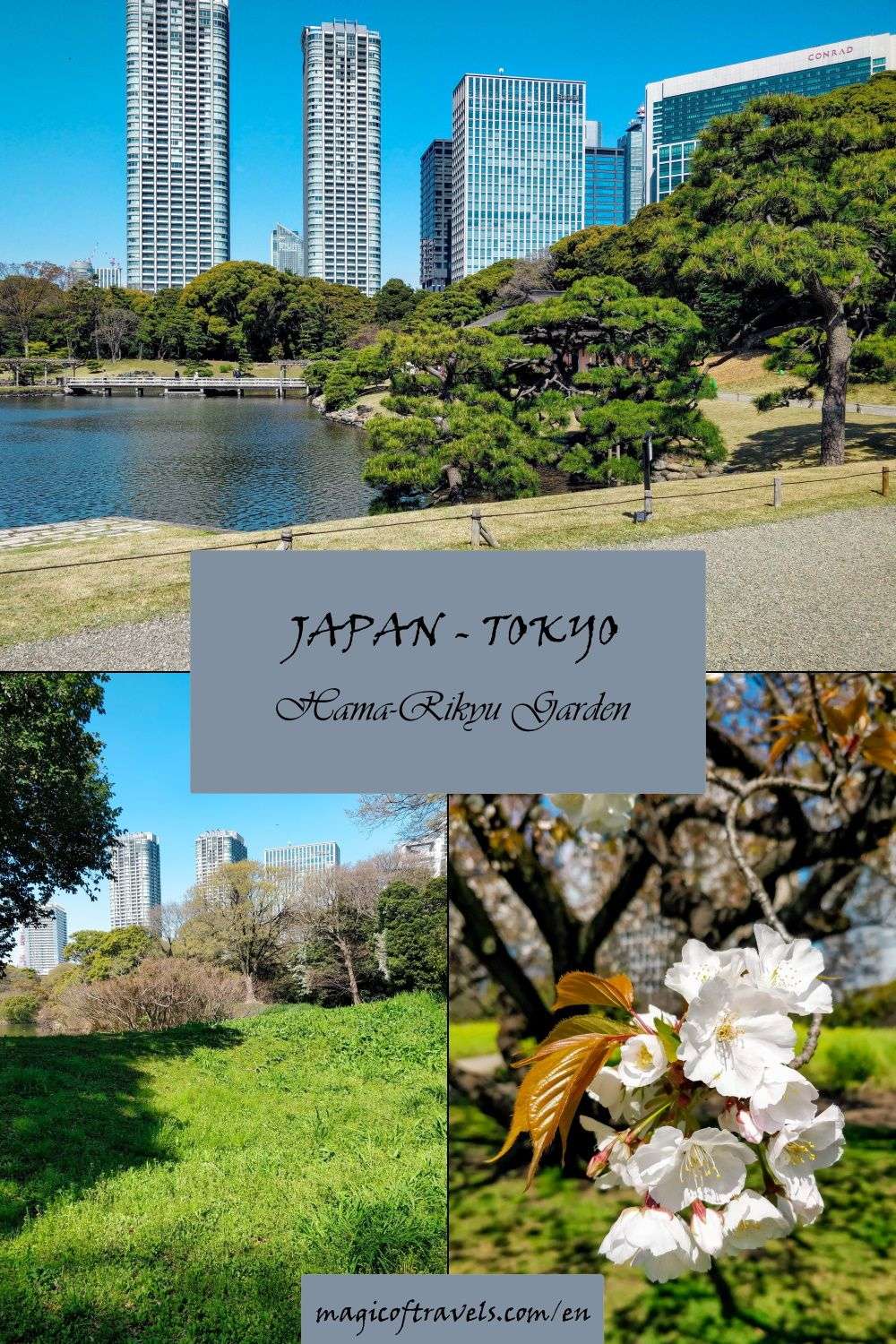Hamarikyu Gardens : A Haven of Peace in the Middle of Tokyo | Travel Guide